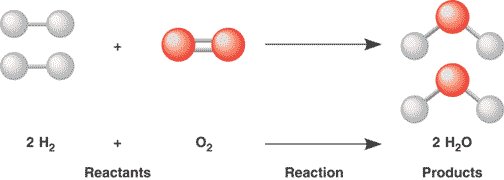 Reactants And Products 