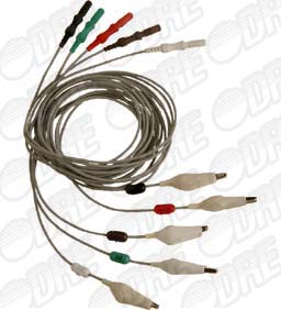 Quia - Electrocardiography