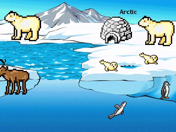 Quia - Animal Relationships