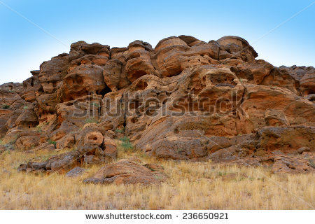 Quia - Lord of the Flies Chapter 3 Vocabulary