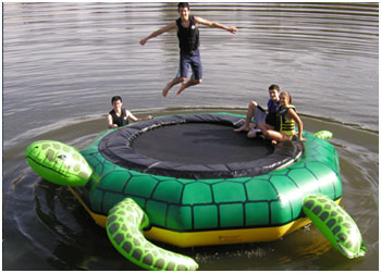 Quia - Michael J's J Game