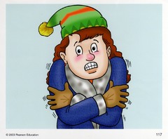 Quia - Feelings, Emotions, Personality FLASH CARDS