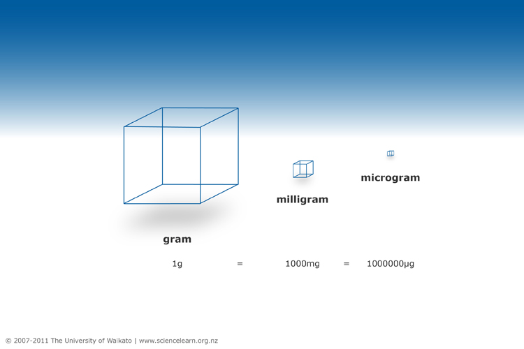 Quia Math Review MS
