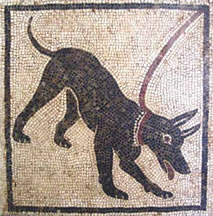 Quia - Latin 1/1H - Caecilius's World (Stages 1-11)