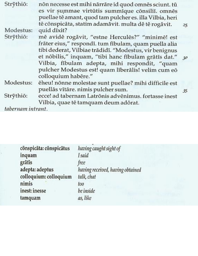Quia - Stage 22 Reading: Modestus