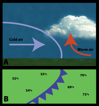 Quia - MSL Weather Review