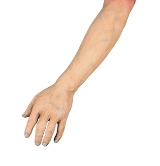 Quia - Body parts and pictures