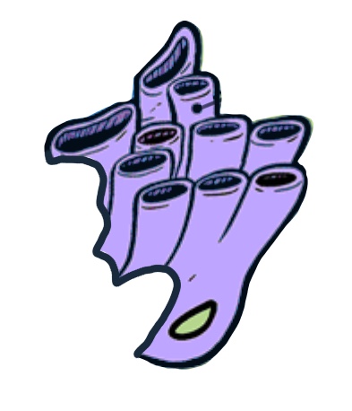 Quia - Animal Cell Organelles