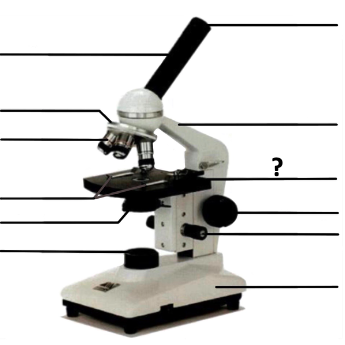 Quia - Parts of a Microscope (Functions)