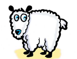 Quia - Initial /sh/ words - cards, match, memory