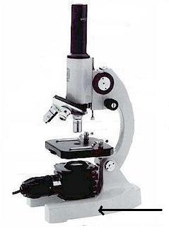 Quia - Parts of the light microscope