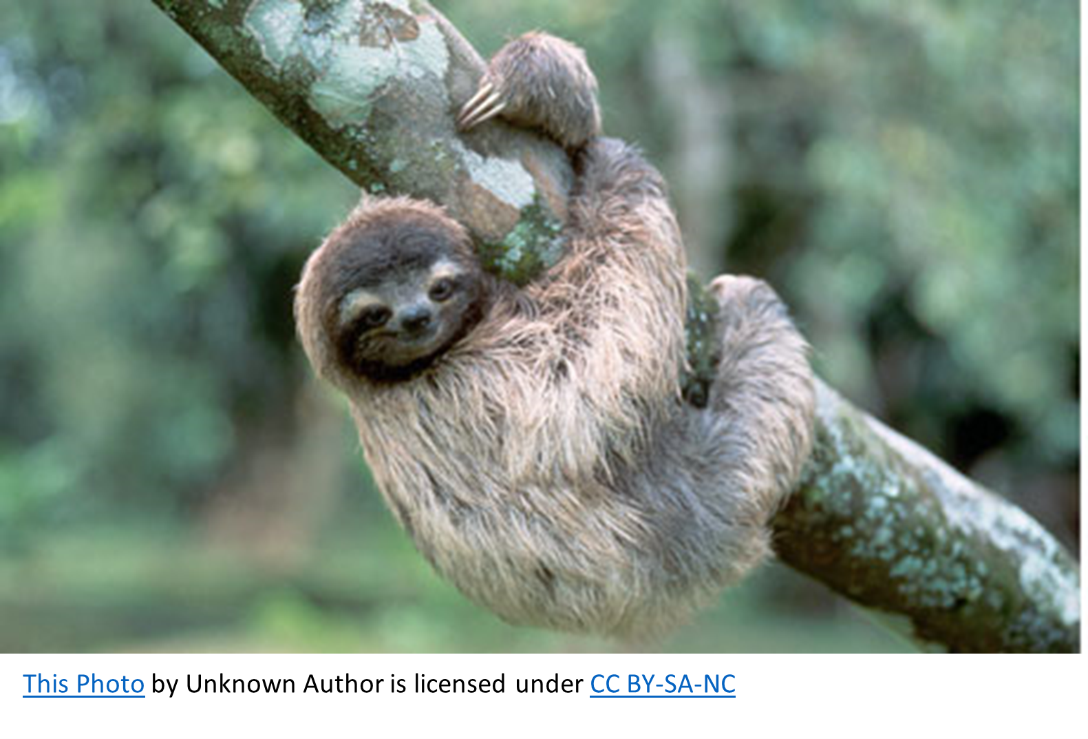 Quia - th and s practice