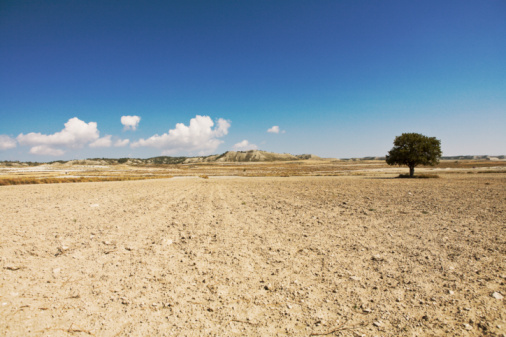 Quia - Vocabulary List 7.1