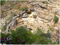 Quia - Plecs, falles i altres estructures