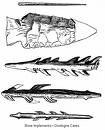 Quia - Class Page - cromagnon
