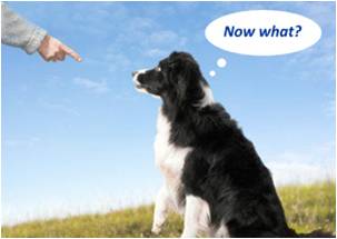 Quia - Tiger Rising Vocabulary Practice with Photos (ch. 14-27)