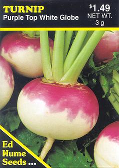 Quia - The ENORMOUS Turnip