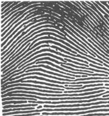 Quia - Fingerprint FAQ's