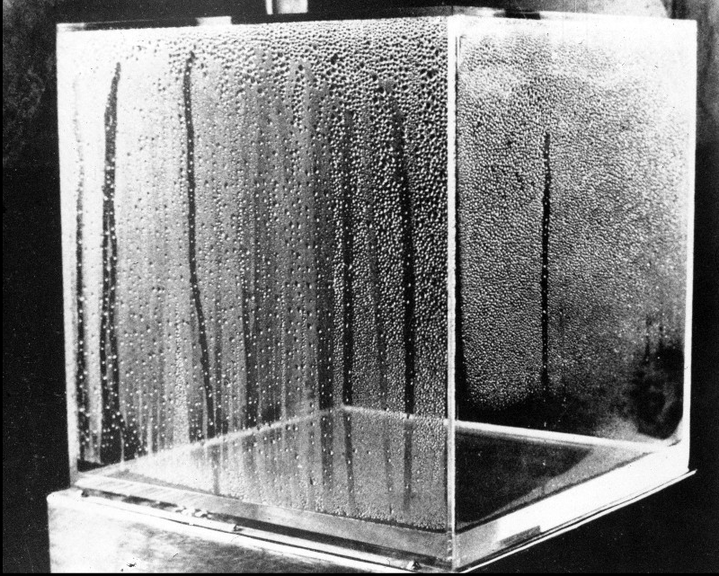 Quia - List of Terms