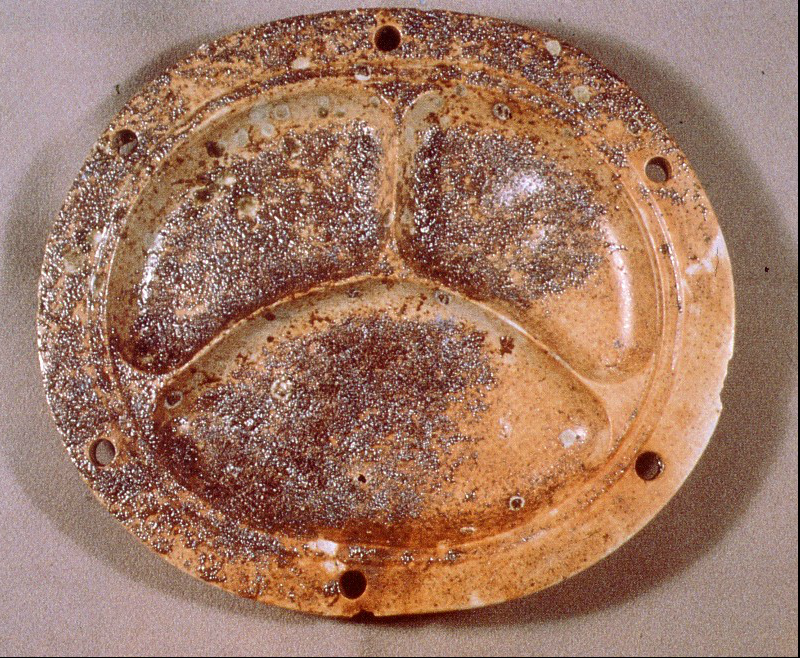 Quia - List of Terms