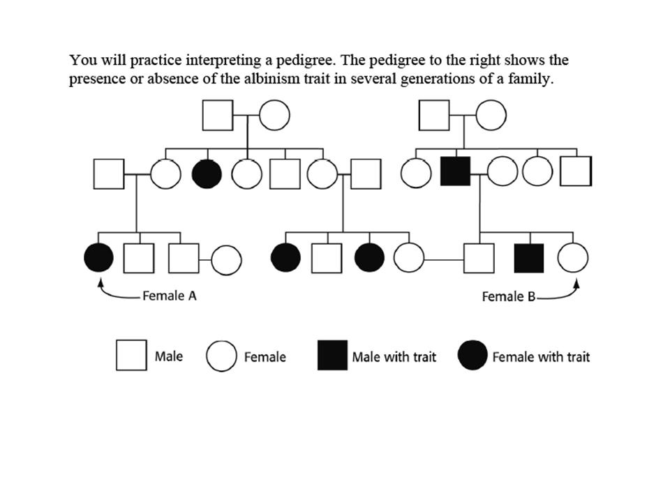Quia - Genetics: Punnett Squares and Pedigrees