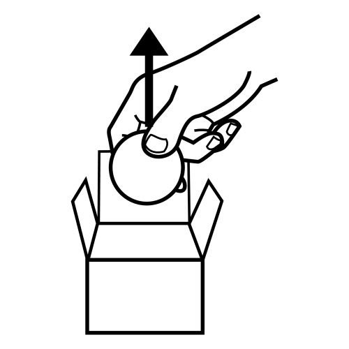 Quia - Verbs year 11