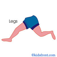 Quia - Body parts - Kindergarten.