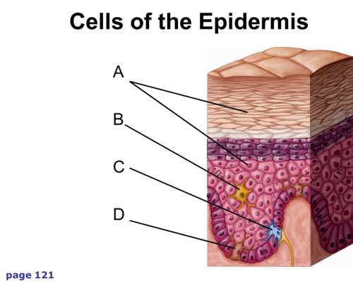 Quia - Week 6 Level 2