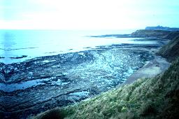 Quia - Chapter 10 Vocabulary Practice #3