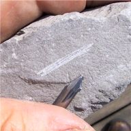 Quia - rocks and soil picture matching