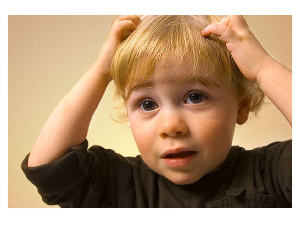 Quia 2nd Grade Spanish Body Parts quia-2nd-grade-spanish-body-parts