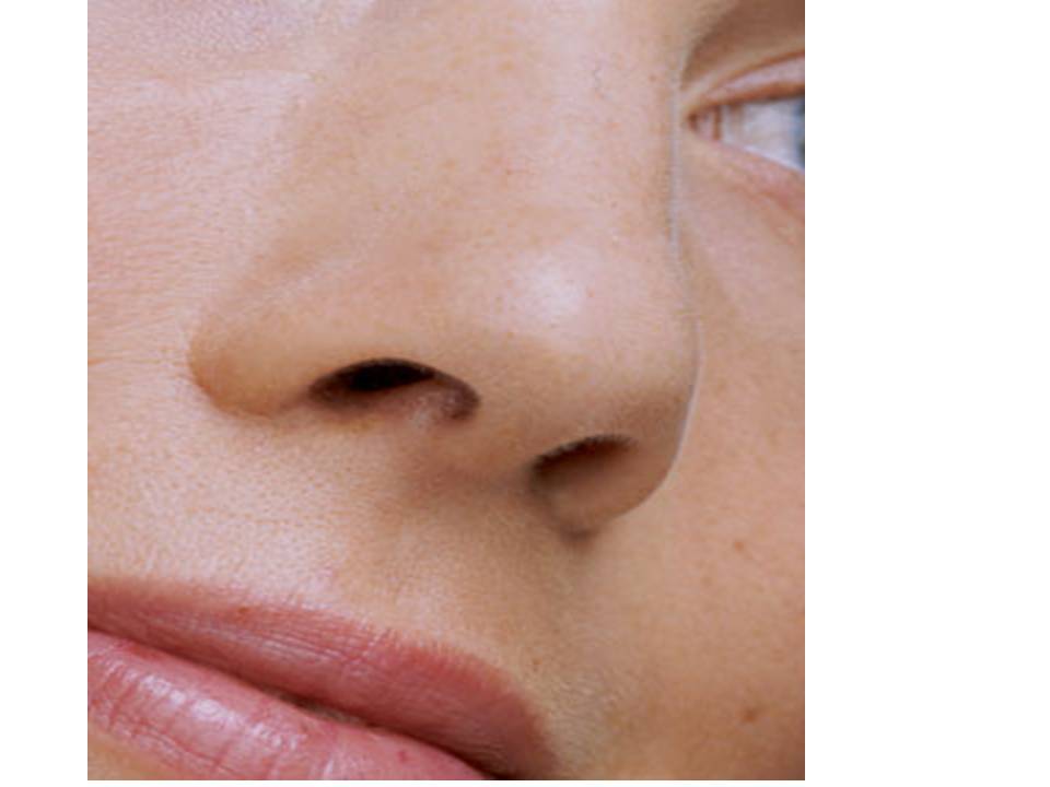 Quia 2nd Grade Spanish Body Parts Quia 2nd Grade Spanish Body Parts