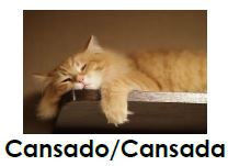 Quia - Las emociones (Emotions in Spanish)