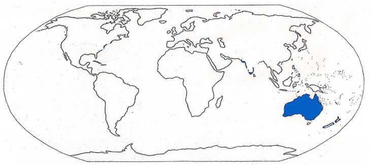 Quia - European Exploration Maps
