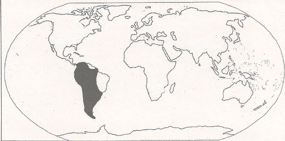 Quia - European Exploration Maps