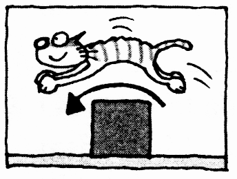 Quia - U12 Prepositions