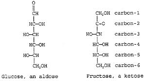 Quia - 9AP Chapter 5 - Macromolecules (detailed)