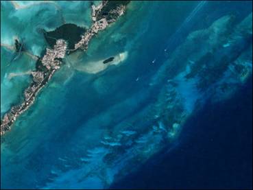 Quia - Unit 4: Stinging cell animals