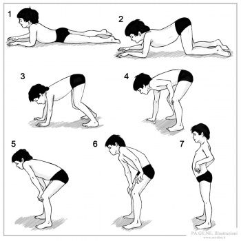 Quia - NCLEX Signs (Use matching option)