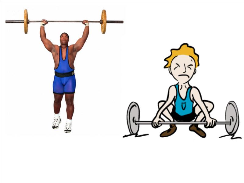 Quia - Les contraires