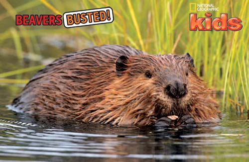 Quia - Animal Activities