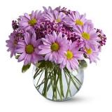 Quia - Ms. B's Bloomin' Flowers