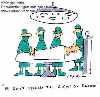 Quia - Unit 8 vocabulary