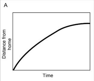 Quia - Distance/Time Graphs