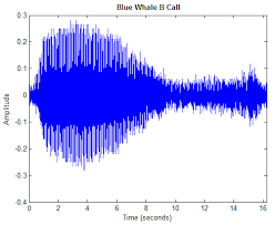 Quia - Analyze a blue whale call!