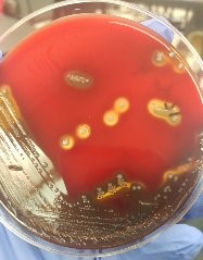 Quia - List of Terms