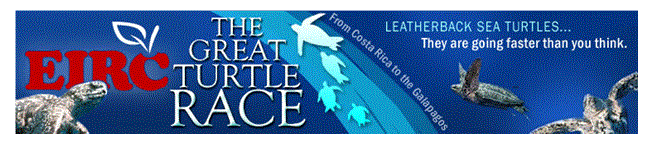 Quia - Class Page - The Great Turtle Race!