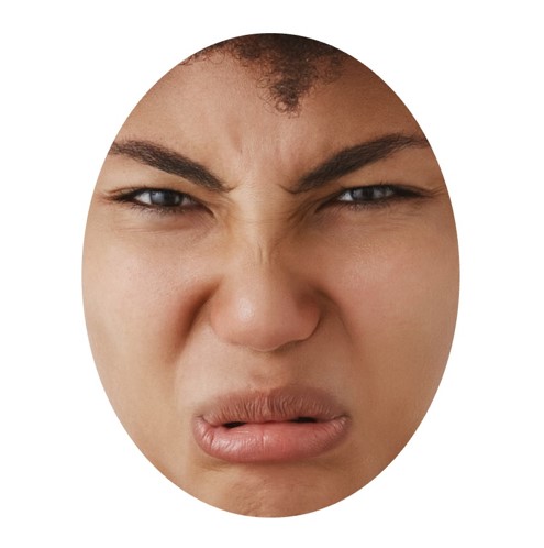 Quia - The Interaction Between Experiences in Everyday Life and Ability ...