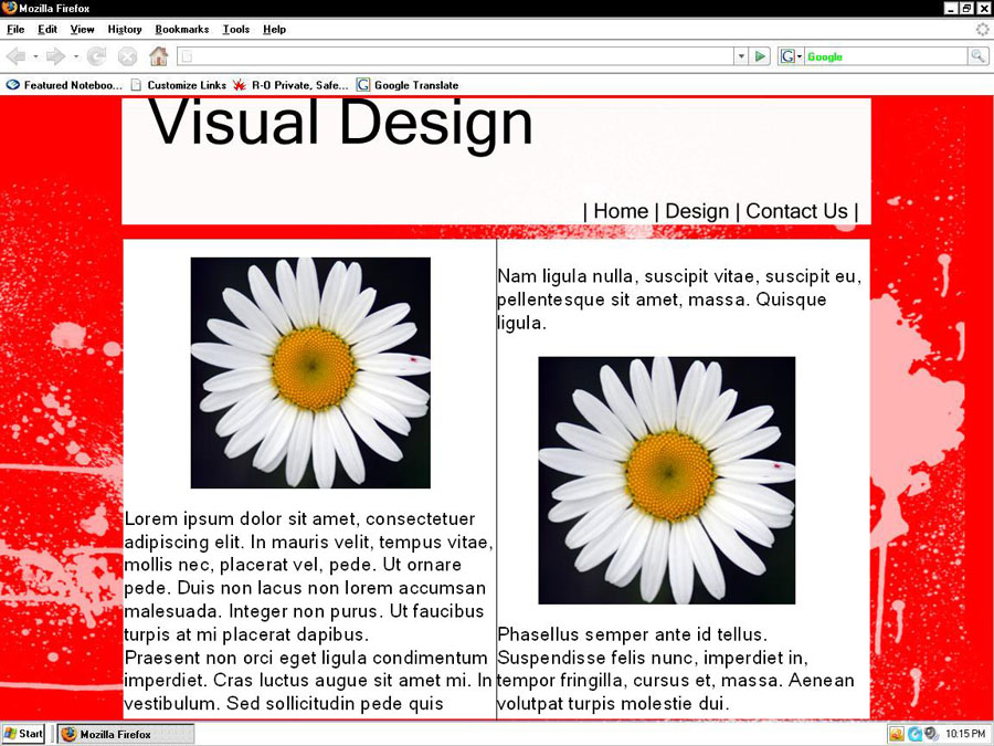 Quia - Visual Appeal and Its Effect on Web Page Preference