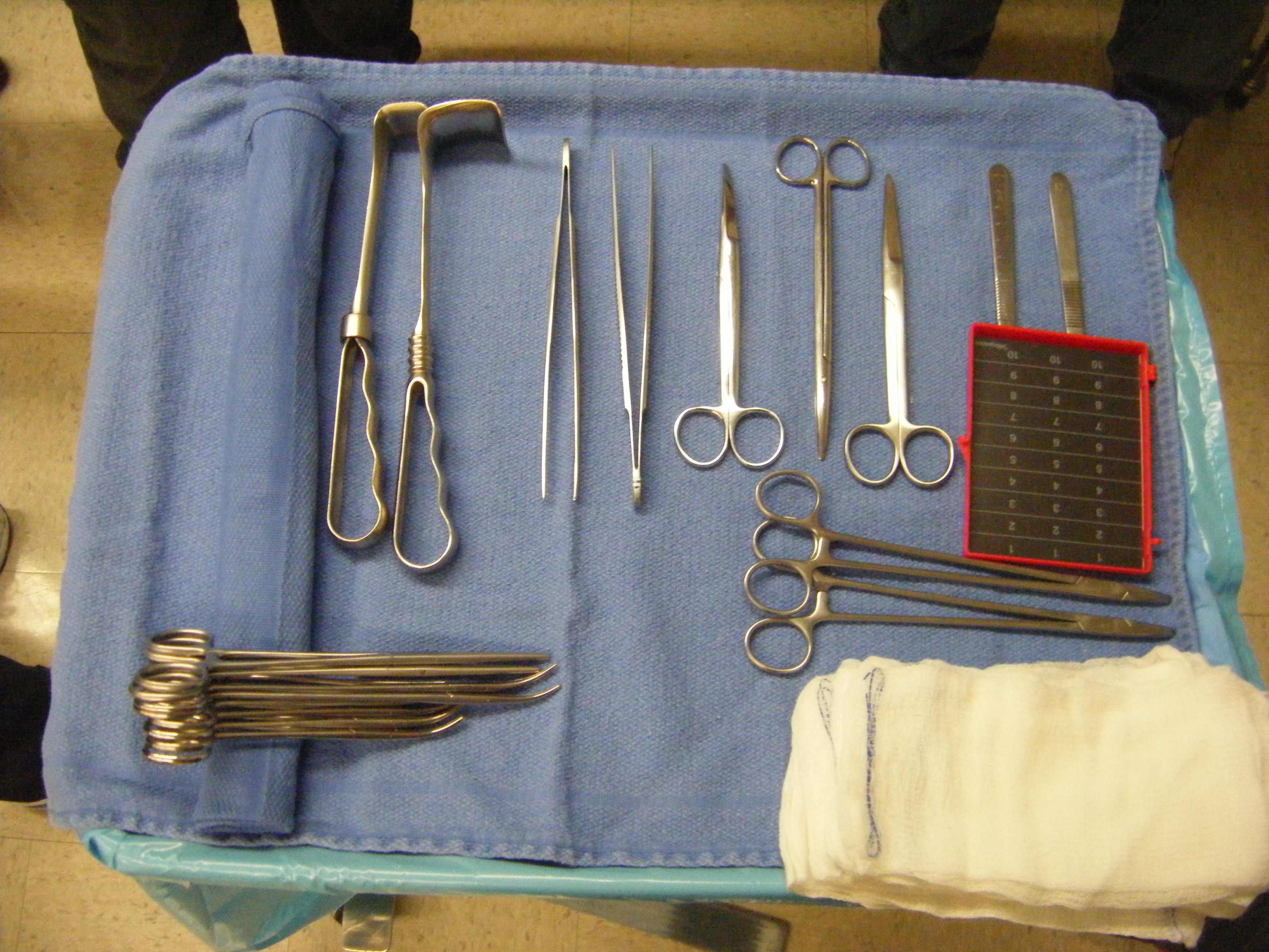 Quia - Class Page - Surgical Techniques